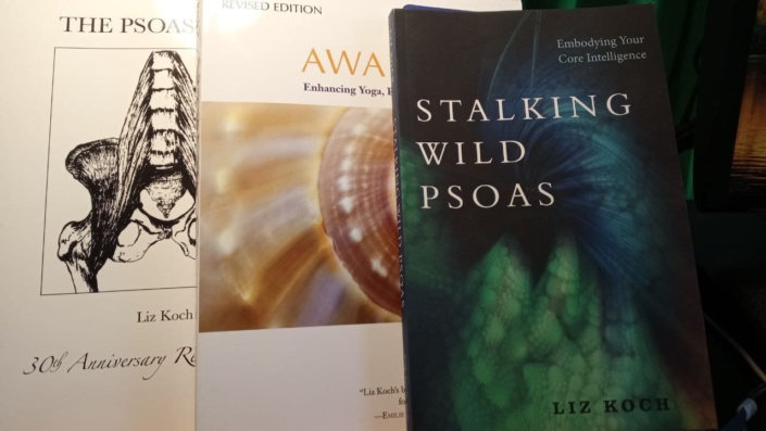 Liz Koch Psoas Books review - Bernd Stößlein Personal-Training